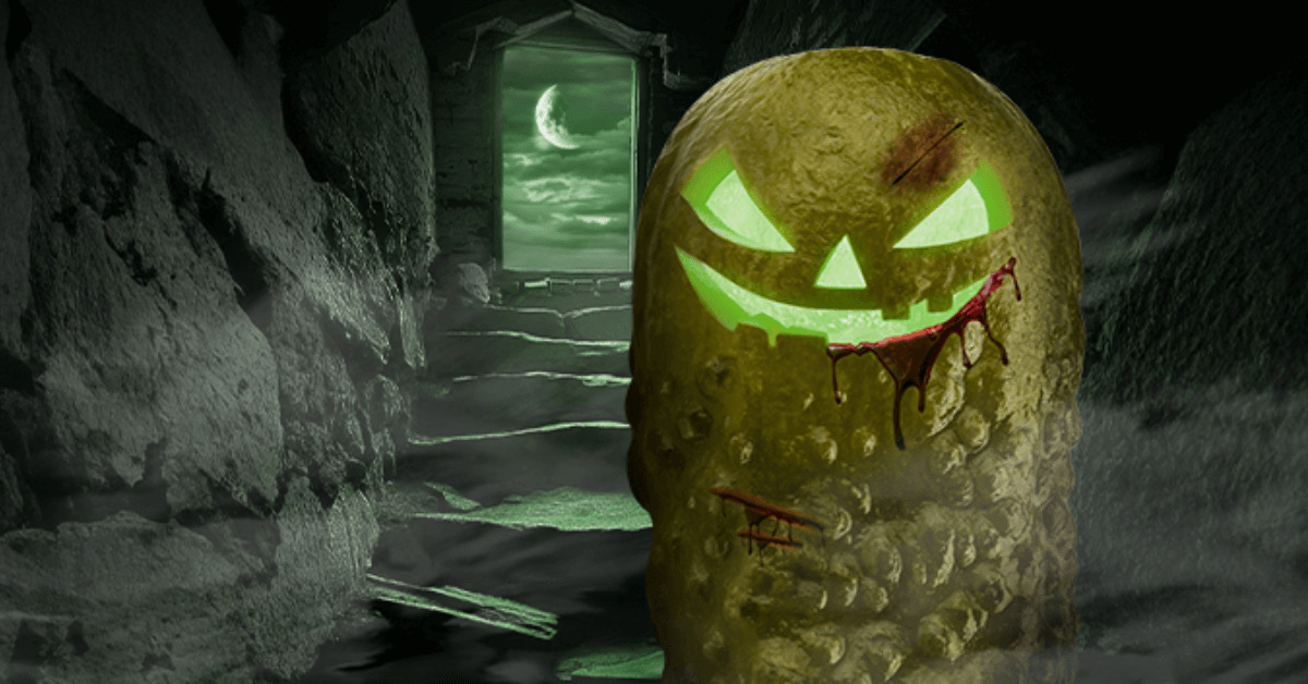 Hapukurgihooaeg on tagasi… | Hapukurk - Lõuna-Eesti